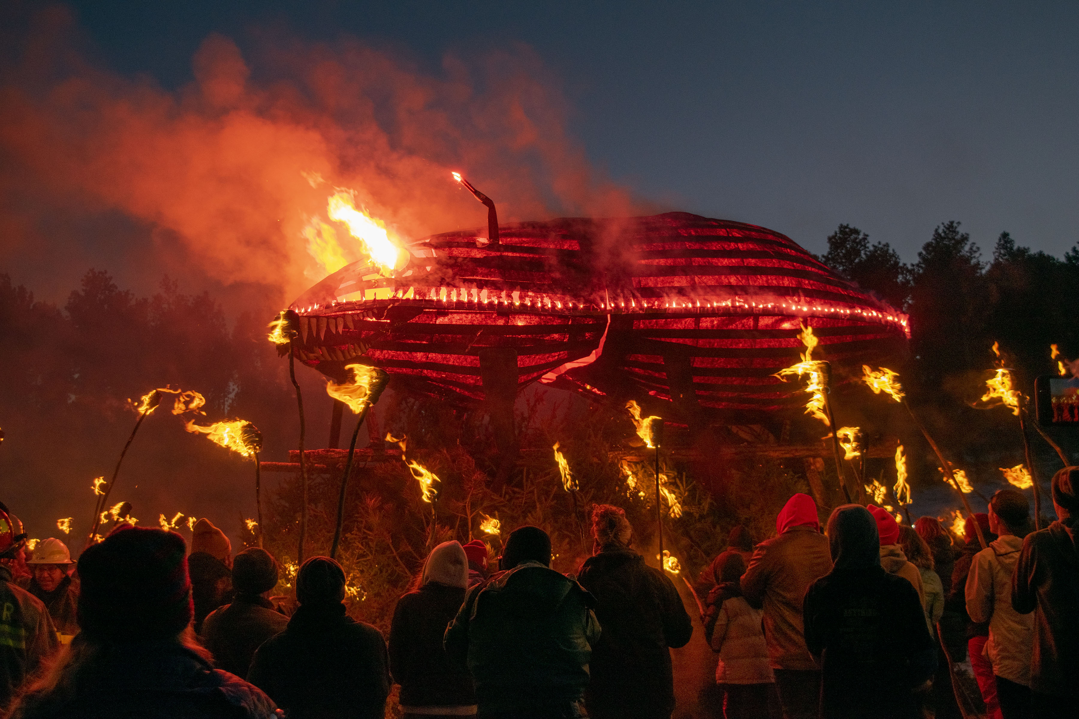 Burn, Beetle, Burn! – Mark My Words