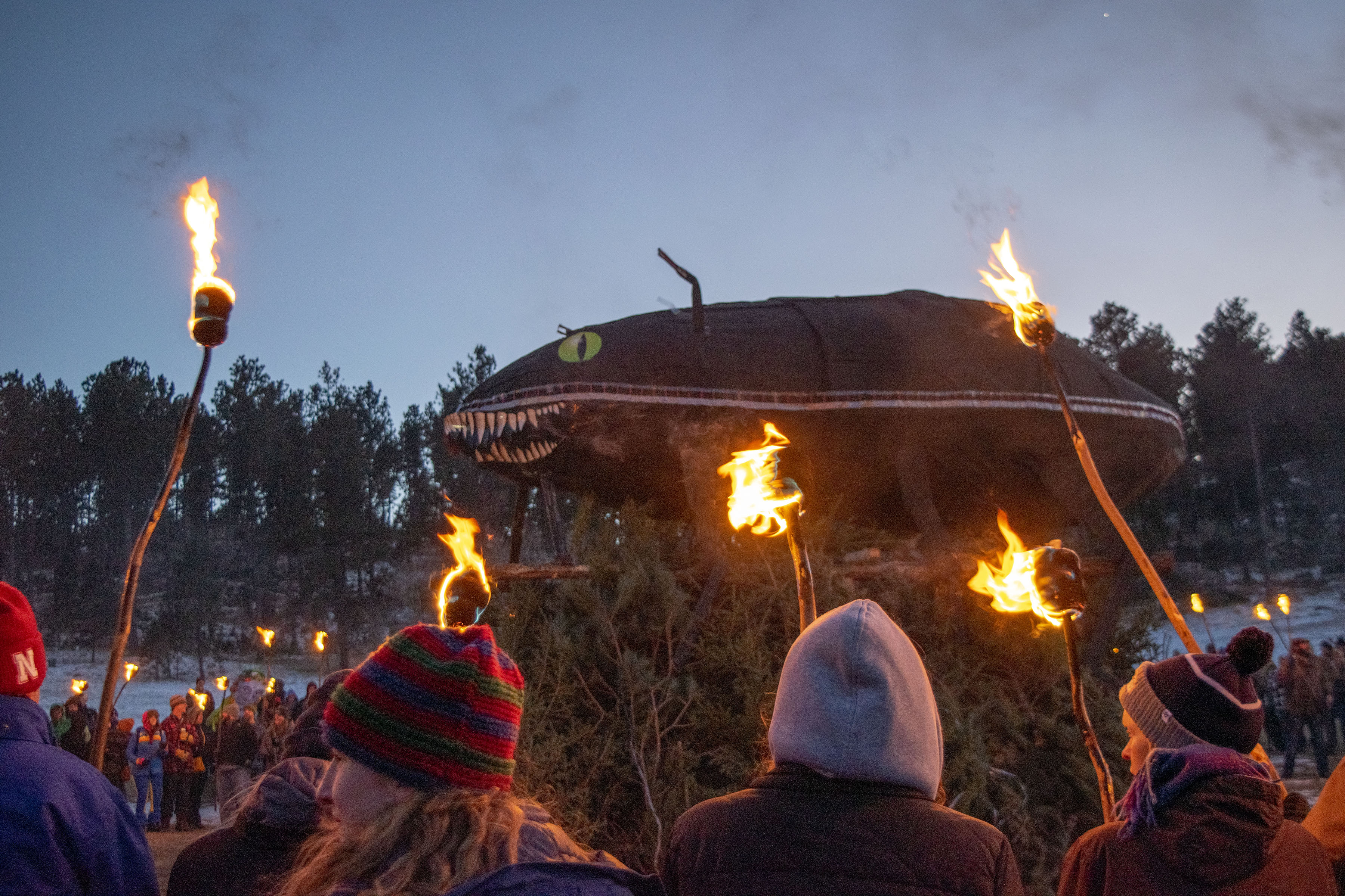 Burn, Beetle, Burn! – Mark My Words