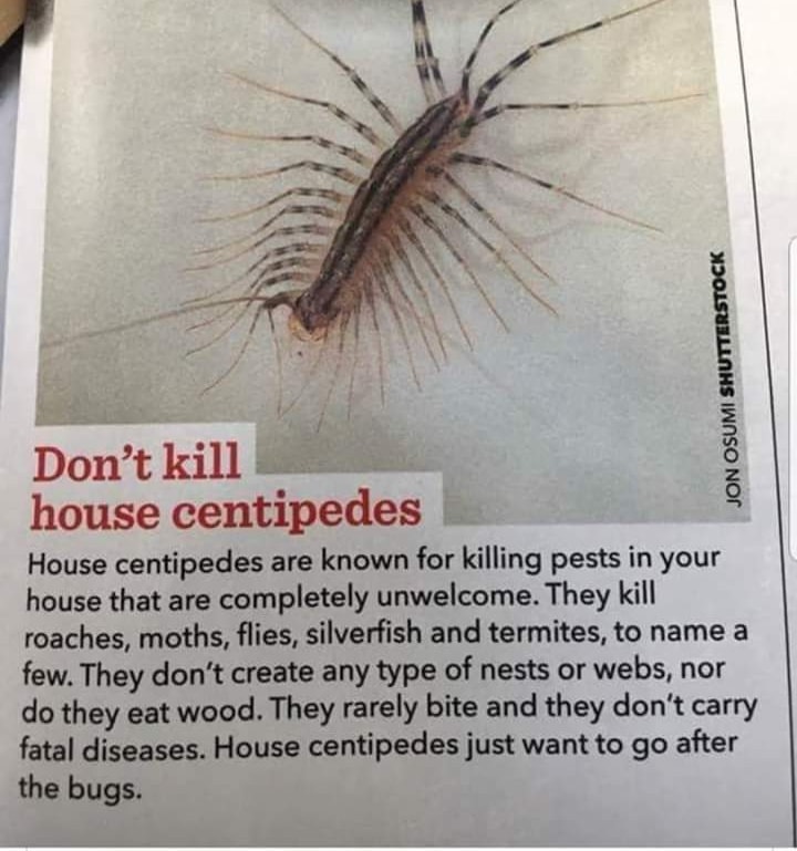 What has 30 legs and looks like an alien? – Mark My Words