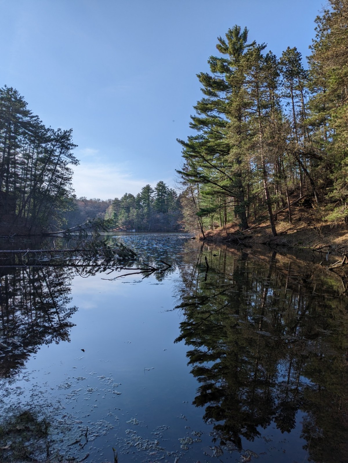 Wisco Wednesday: Supper Clubs – Mark My Words