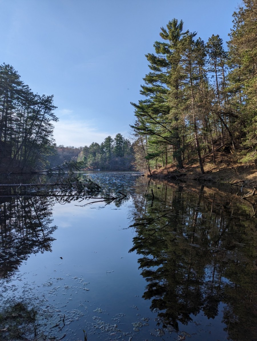 Wisco Wednesday: Supper Clubs – Mark My Words