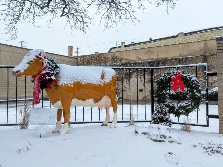 Here comes the cow-valry. – Mark My Words