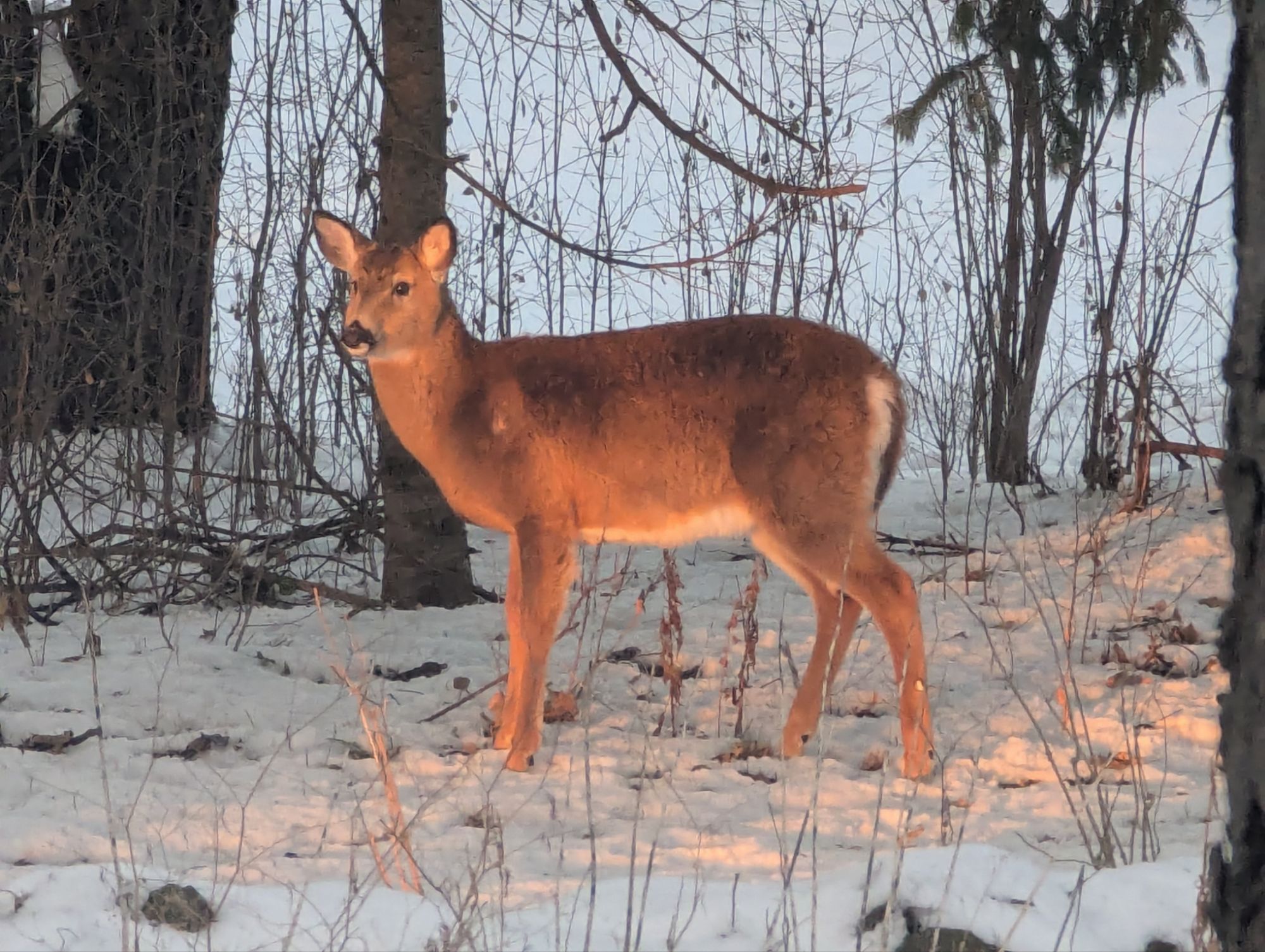 Slip-sliding down Main Street. – Mark My Words